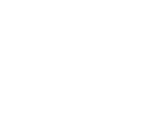 Carsten Holm A/S – industrial gaskets and seals